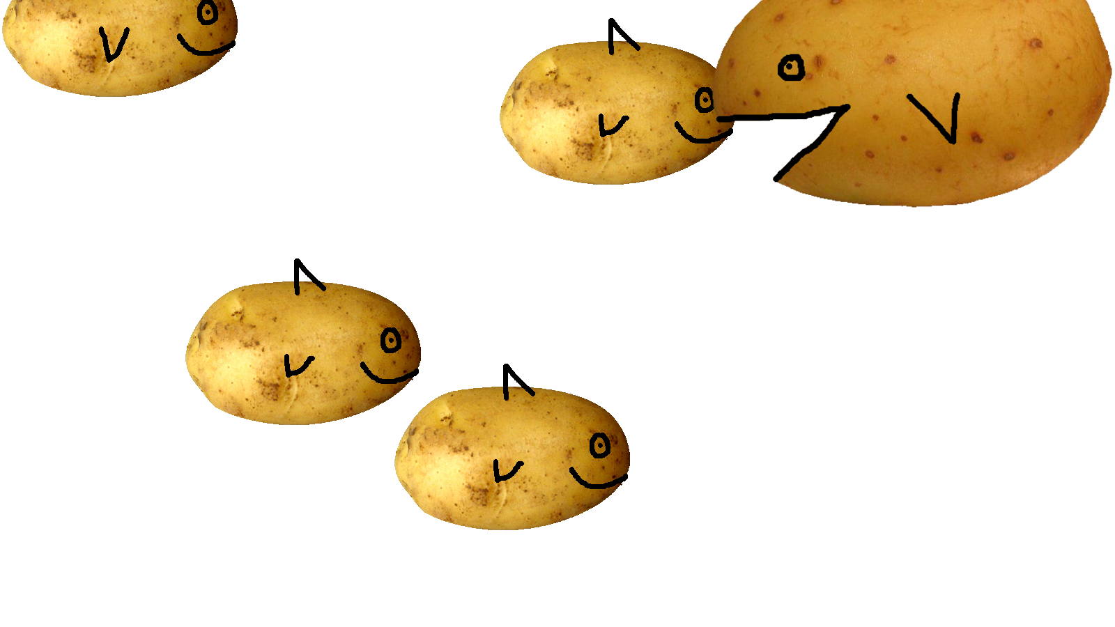 The Majestic Potato Cod